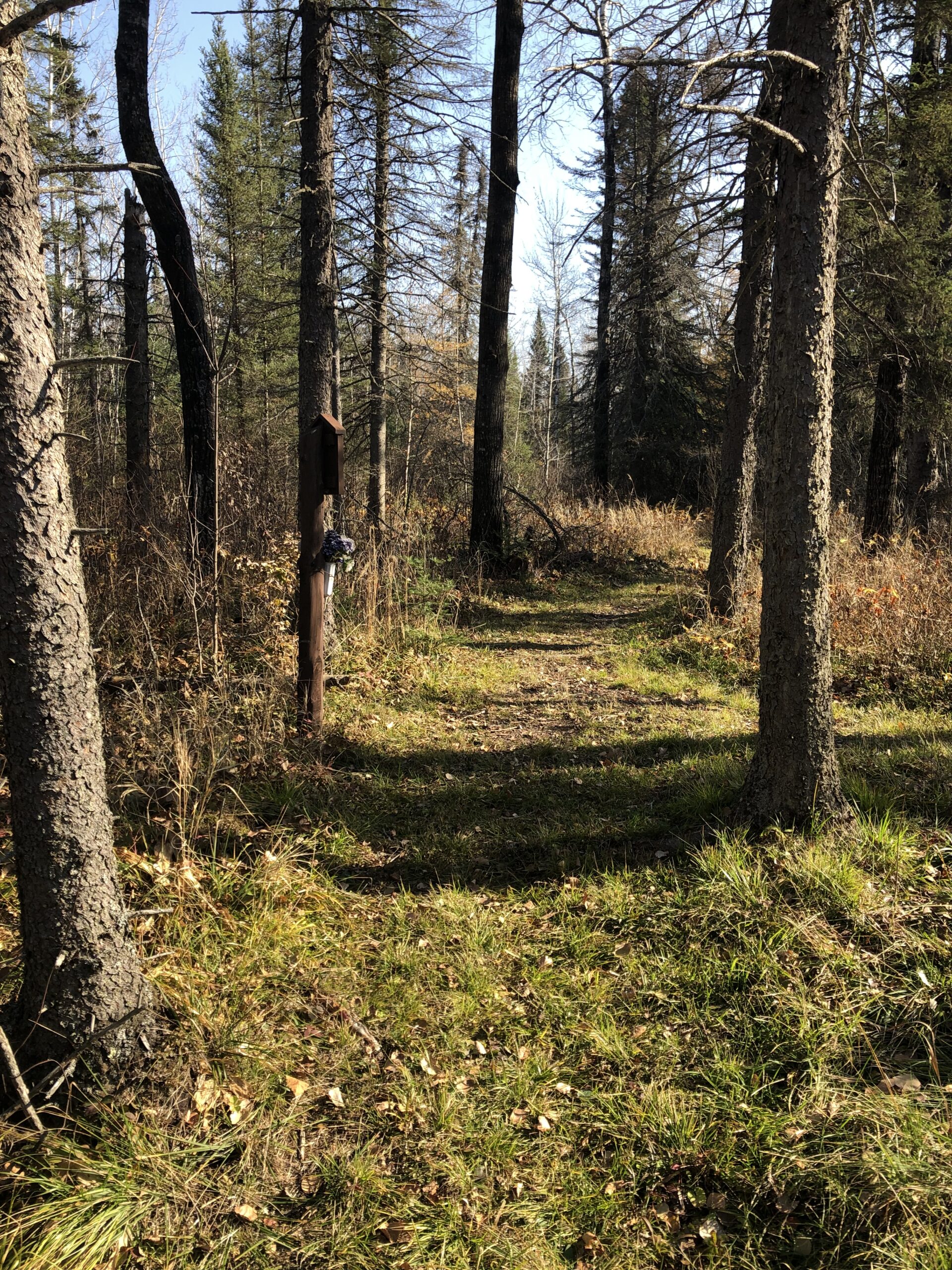 Traveling the Old North Shore - The Toimi Children's Cemetery | WTIP