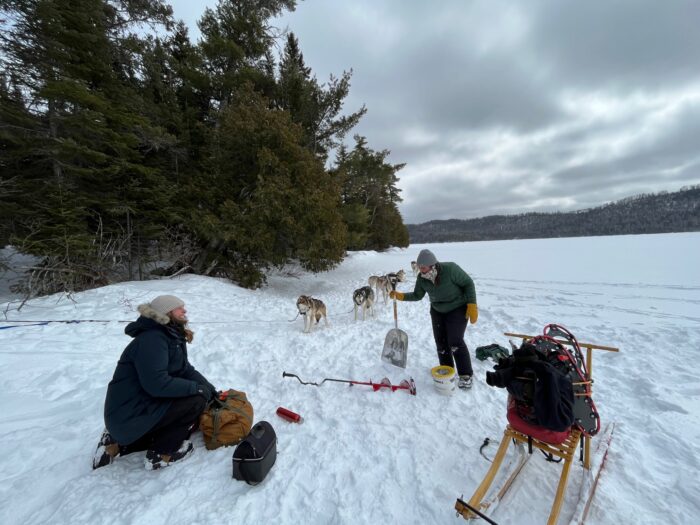 A winter in Cook County leading dog sledding adventures | WTIP
