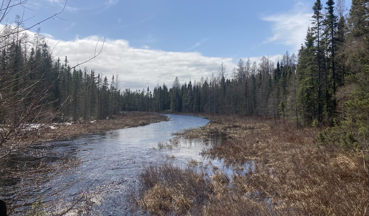 Trail Time - Spring Is Here! | WTIP