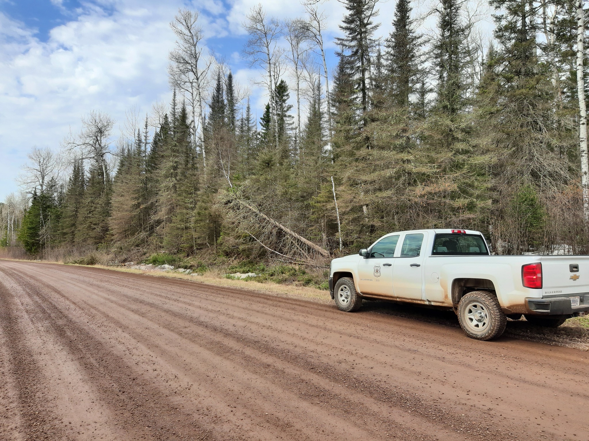 Lake Superior Project - Health of the Superior National Forest | WTIP