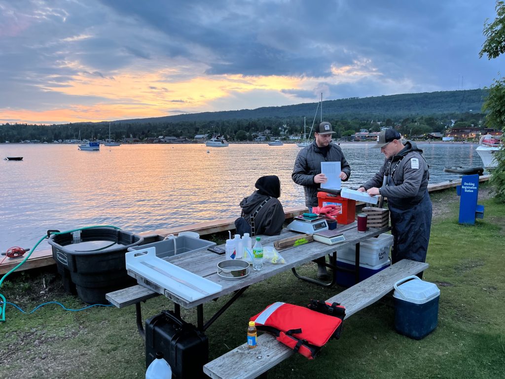 The science of using electricity to study Lake Superior fish | WTIP