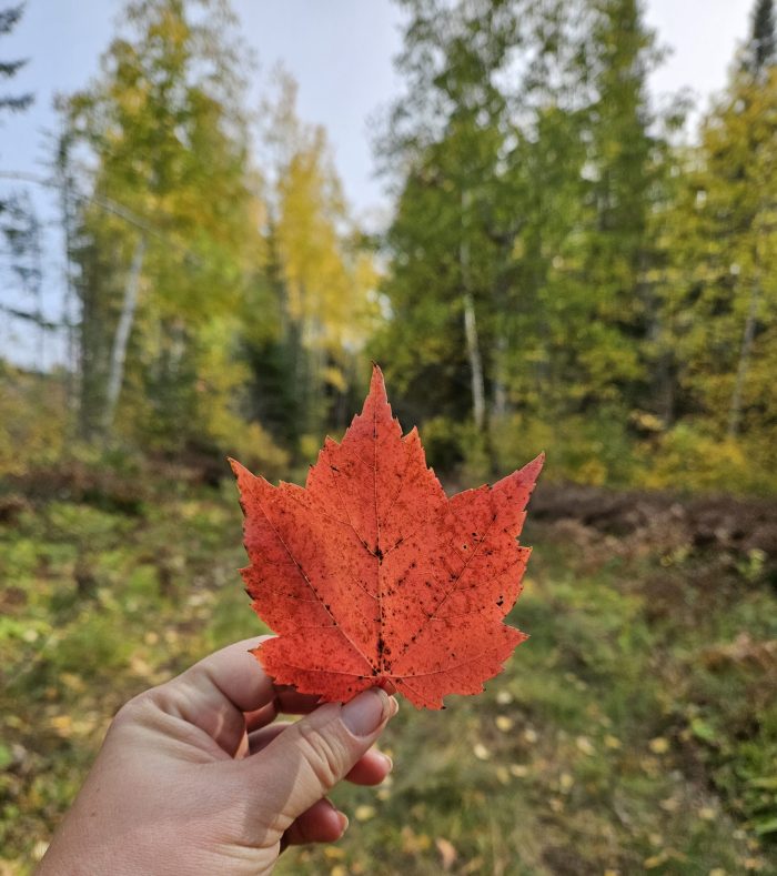 October observations with Larry Weber | WTIP