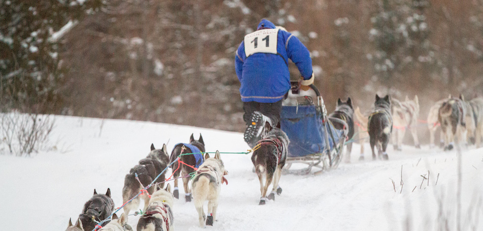 Gunflint Mail Run organizers remain optimistic and hope for snow | WTIP