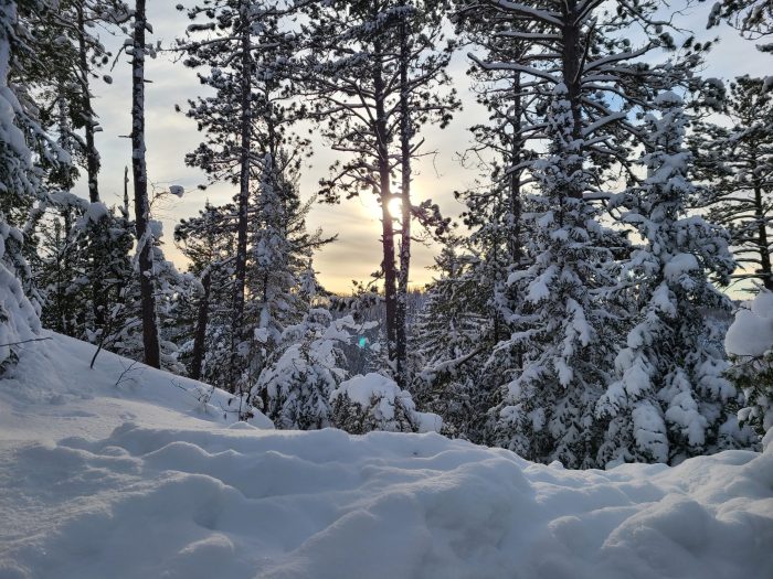 January observations with Larry Weber | WTIP
