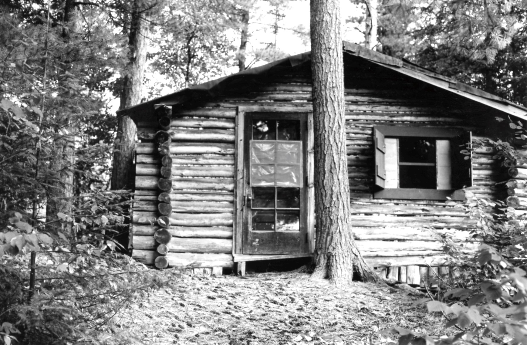 Traveling the Old North Shore - Joanne Hart and Life at the Old Pigeon ...