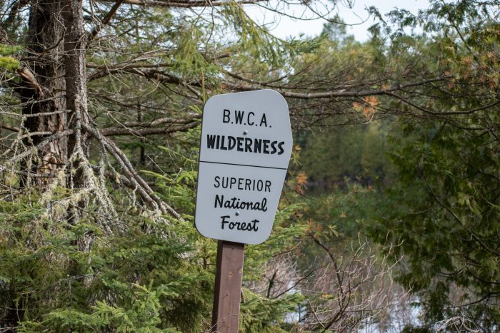 Forest Service seeks public input to update BWCA forest plan | WTIP