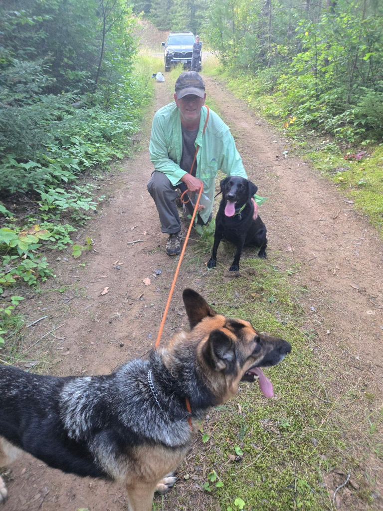 Missing German Shepherd reunited with owner after nearly two months in ...