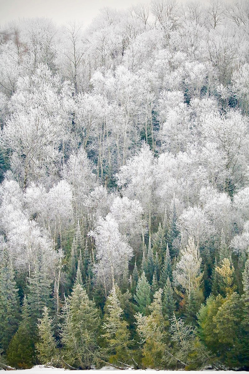 Trail Time - Marcia Roepke's 80th TT Episode! Snow, tracks, good ...