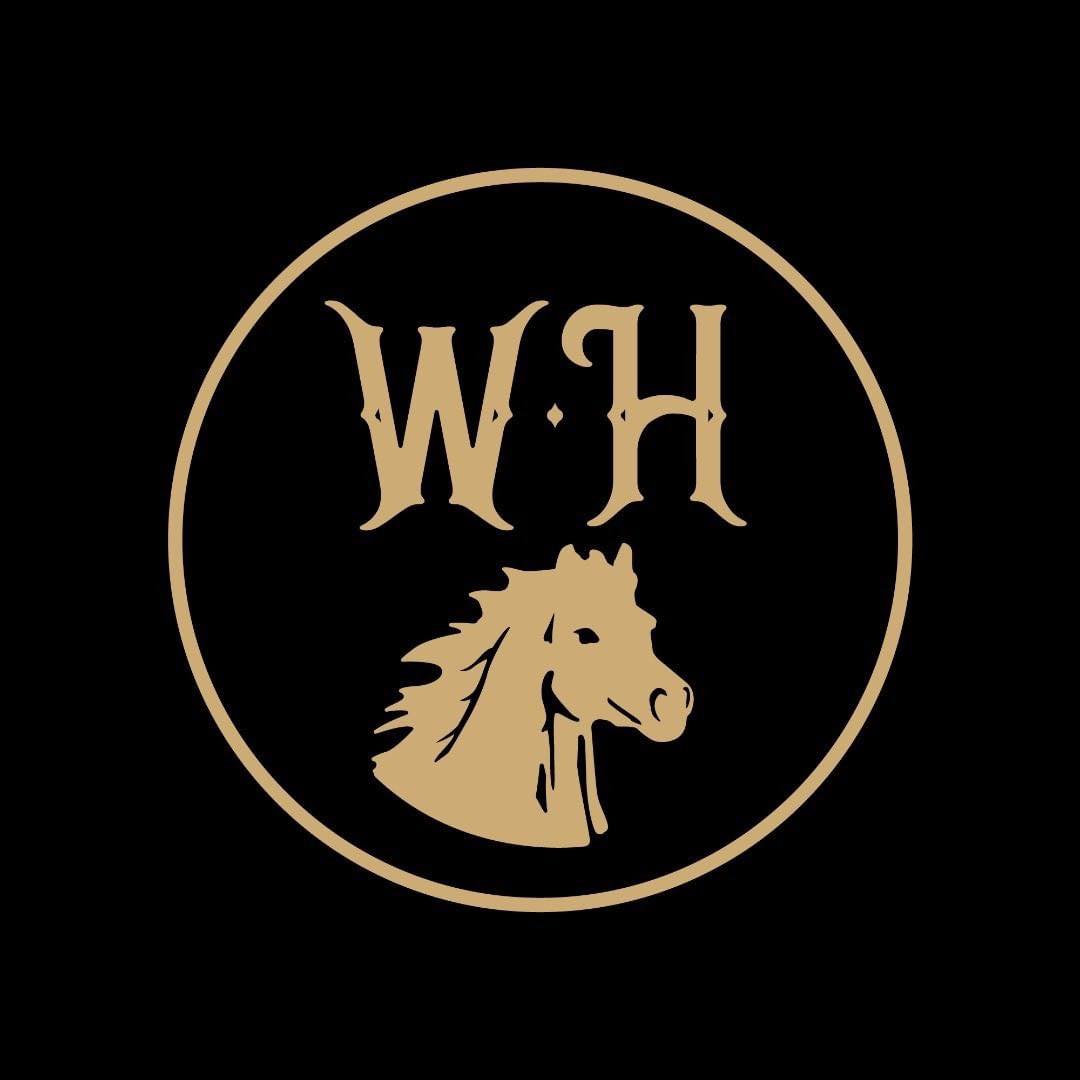 Grand Rapids band Wild Horses return with new music on Scenic Route | WTIP