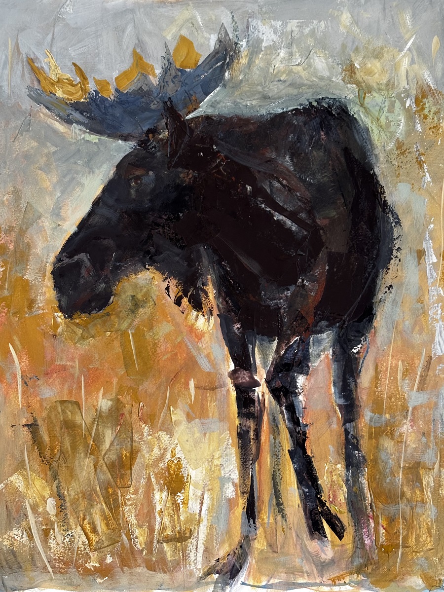 Trail Time - Moose Magic | WTIP