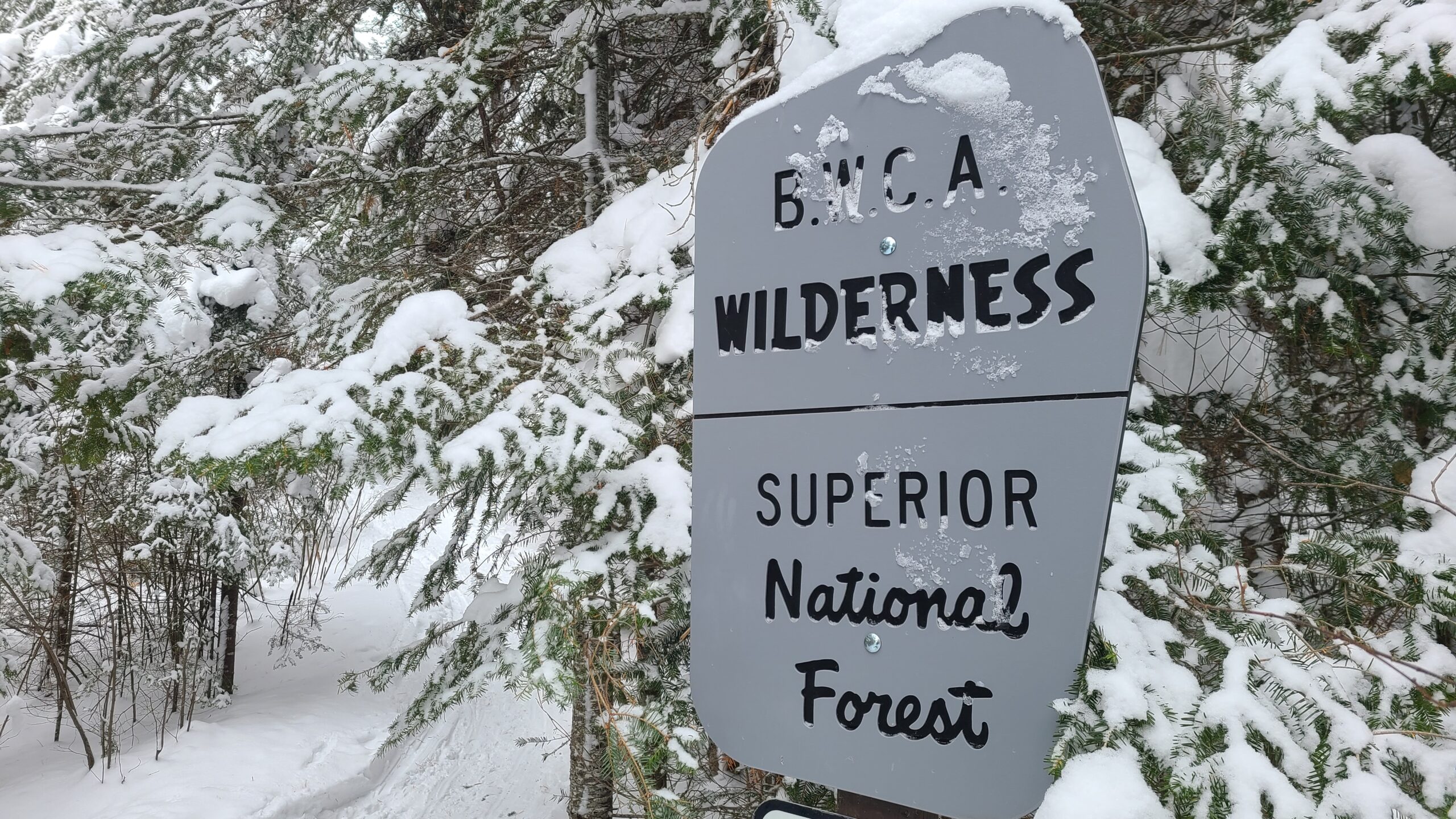Keep it Wild - Preparing for "Go Live" Permit Season with Tim Barton ...