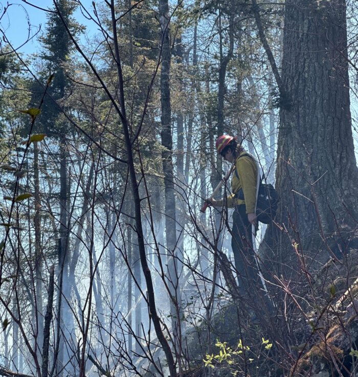 Stewart Trail Fire containment increases as officials determine cause ...
